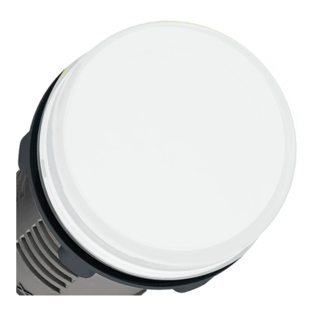 Sinalizador Monobloco Plástico Branco 22Mm 220VCA XA2EVM1LC Schneider ...